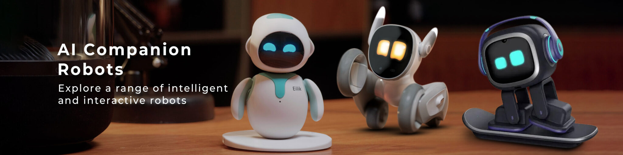 Companion Robots - XBOOM