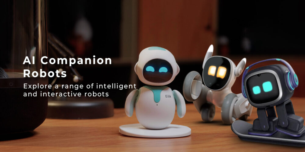 Companion Robots - XBOOM