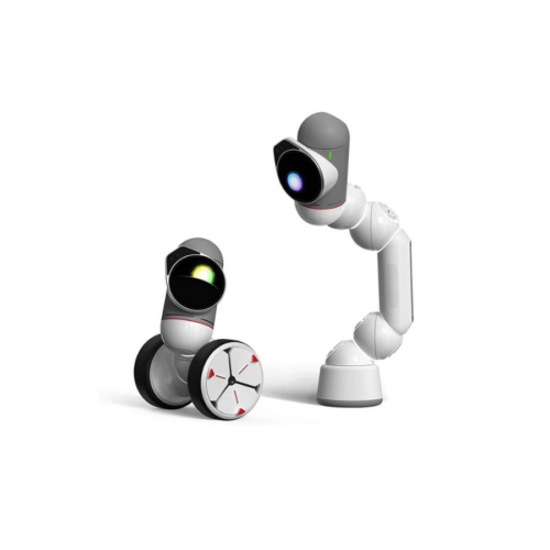AI Companion Robots Archives - XBOOM